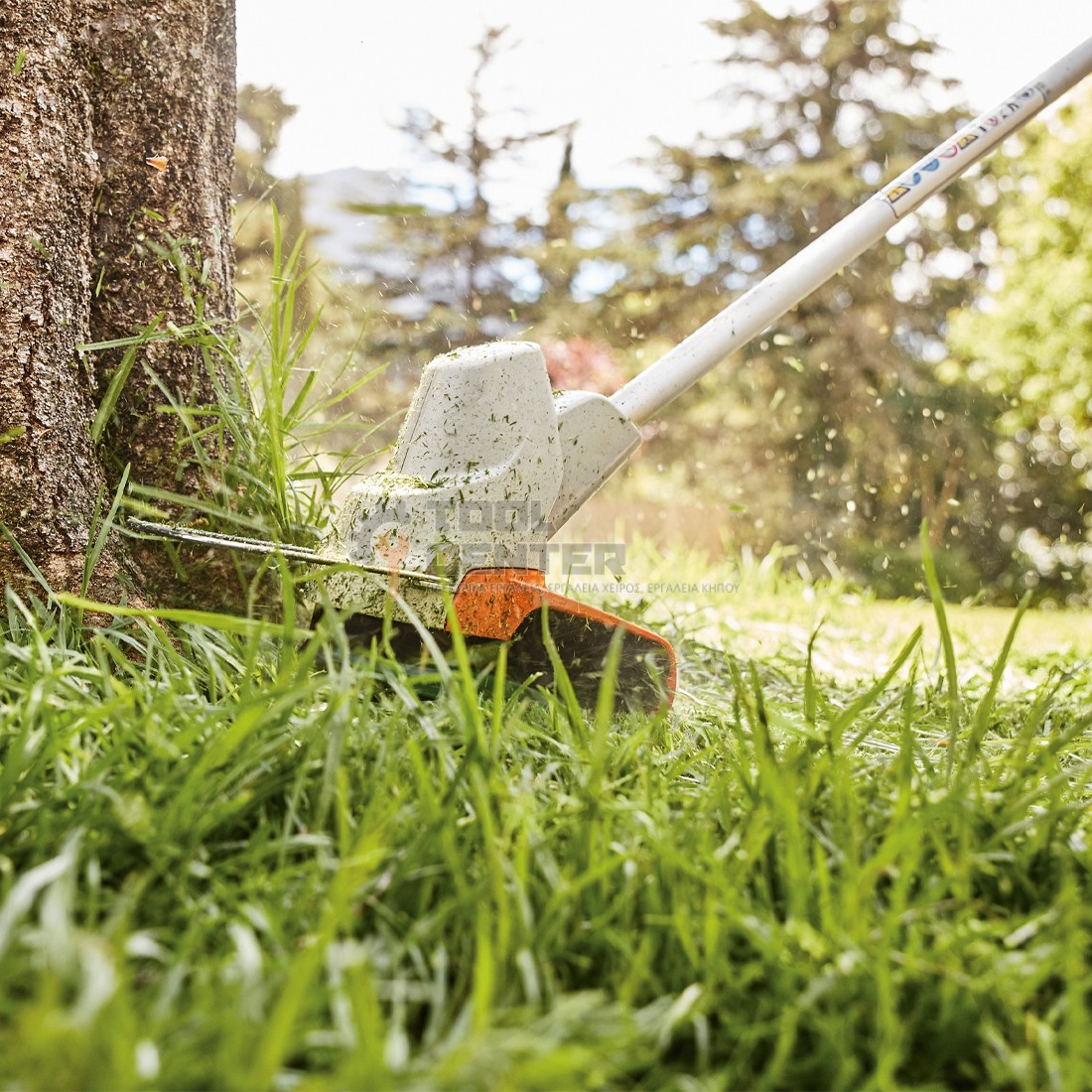 STIHL FSA 57 ΧΟΡΤΟΚΟΠΤΙΚΟ ΜΕ ΜΠΑΤΑΡΙΑ ΑΚ 10 & ΦΟΡΤΙΣΤΗ AL 101 ...
