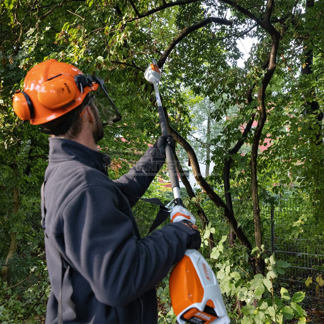 STIHL HTA 66 ΤΗΛΕΣΚΟΠΙΚΟ ΑΛΥΣΟΠΡΙΟΝΟ ΧΩΡΙΣ ΜΠΑΤΑΡΙΑ & ΦΟΡΤΙΣΤΗ 240cm (# ...