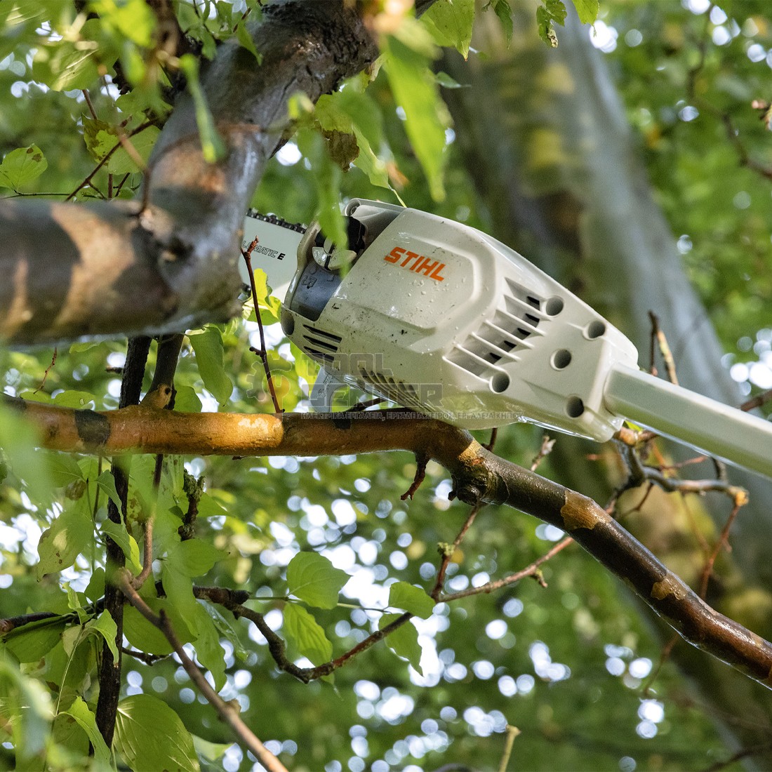 STIHL HTA 86 ΤΗΛΕΣΚΟΠΙΚΟ ΑΛΥΣΟΠΡΙΟΝΟ ΧΩΡΙΣ ΜΠΑΤΑΡΙΑ & ΦΟΡΤΙΣΤΗ 270 ...
