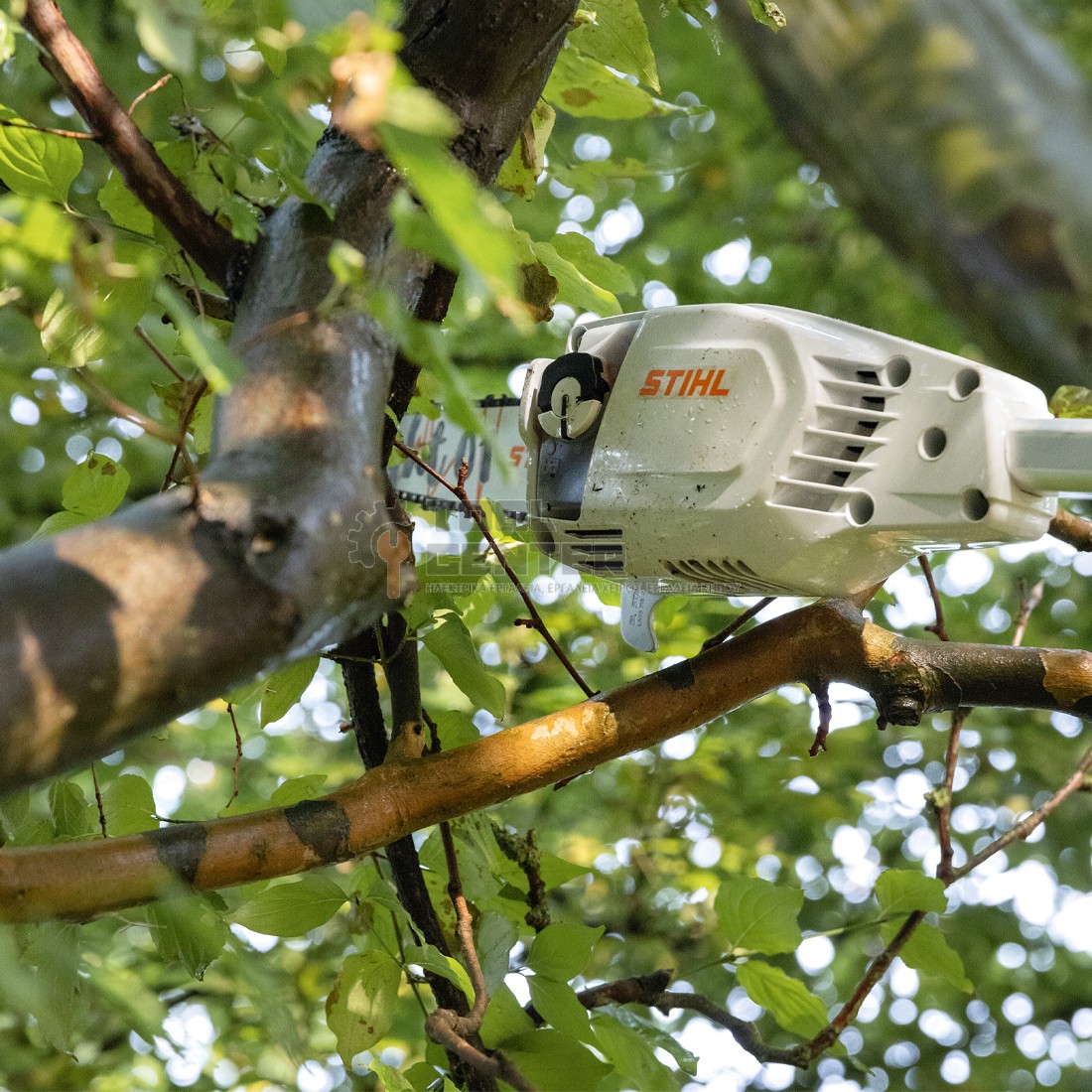STIHL HTA 86 ΤΗΛΕΣΚΟΠΙΚΟ ΑΛΥΣΟΠΡΙΟΝΟ ΧΩΡΙΣ ΜΠΑΤΑΡΙΑ & ΦΟΡΤΙΣΤΗ 270 ...